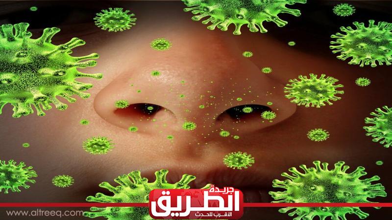 بحث يفجر مفاجأة.. الفيروسات تراقب وتختار فريستها بعناية | المنوعات | الطريق
